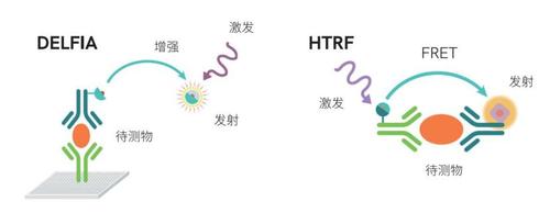 EnVision Nexus 多模式微孔板读板仪 - 泽汇生物