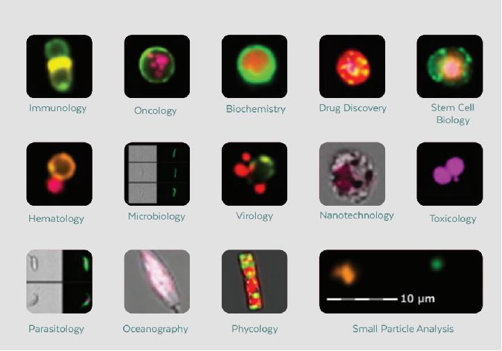 Cytek Amnis® 成像流式 - 泽汇生物